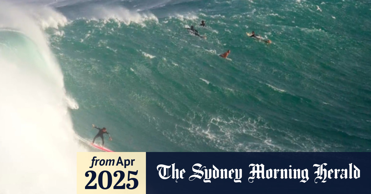 Video: Surfer rides what's thought to be Bondi’s biggest ever wave